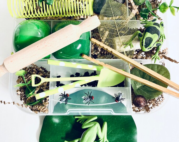 Frog Sensory Kit, Sensory Play, Frog Sensory Kit, Kids Busy Box, Kids ...