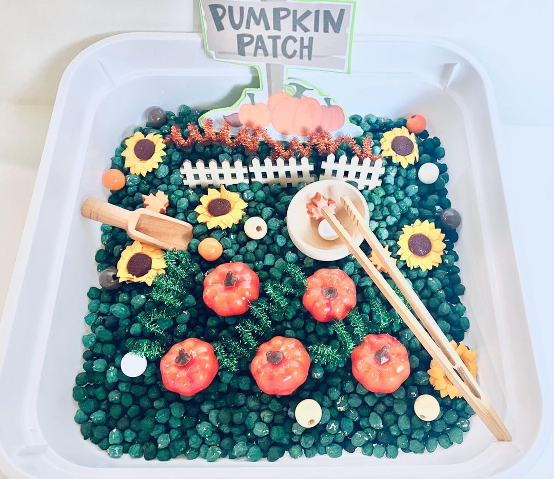 Pumpkin Patch Sensory Kit, Kids Fall Activity Bin - Etsy