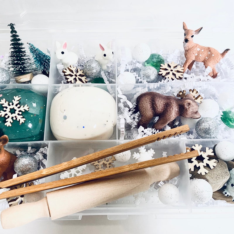 Young Wild and Friedman Sensory Kits - Etsy