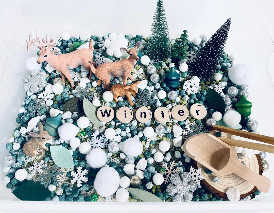 XL Winter Sensory Kit, Winter Sensory Bin, Winter Sensory Play, Kids ...