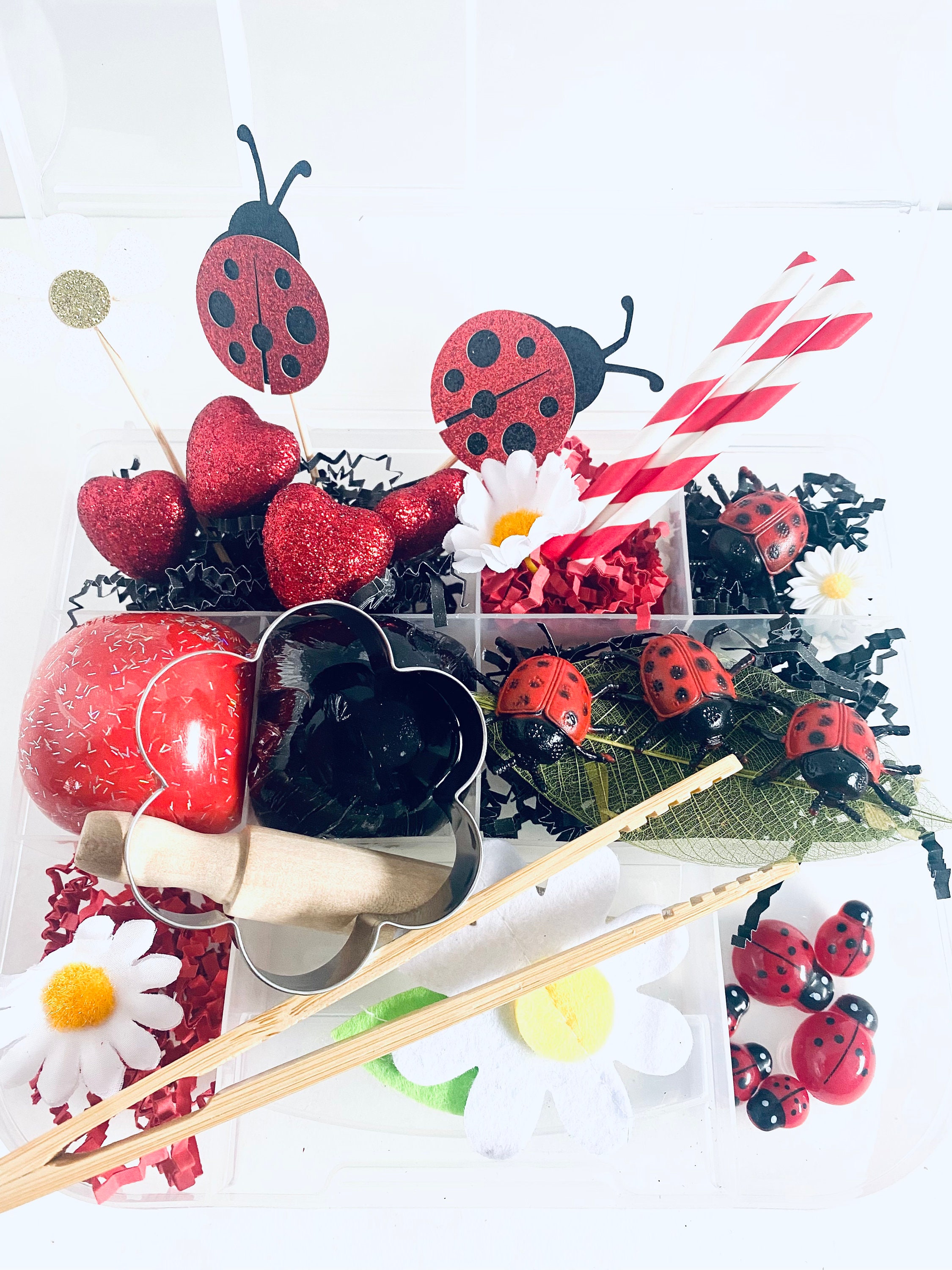 Ladybug Sensory Kit, Sensory Play Kit, Kids Busy Box, Girls Gift, Girls ...