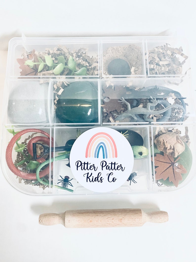 Reptile Play Dough Kit, Play Dough Kit, Lizards and Snakes Sensory Play ...