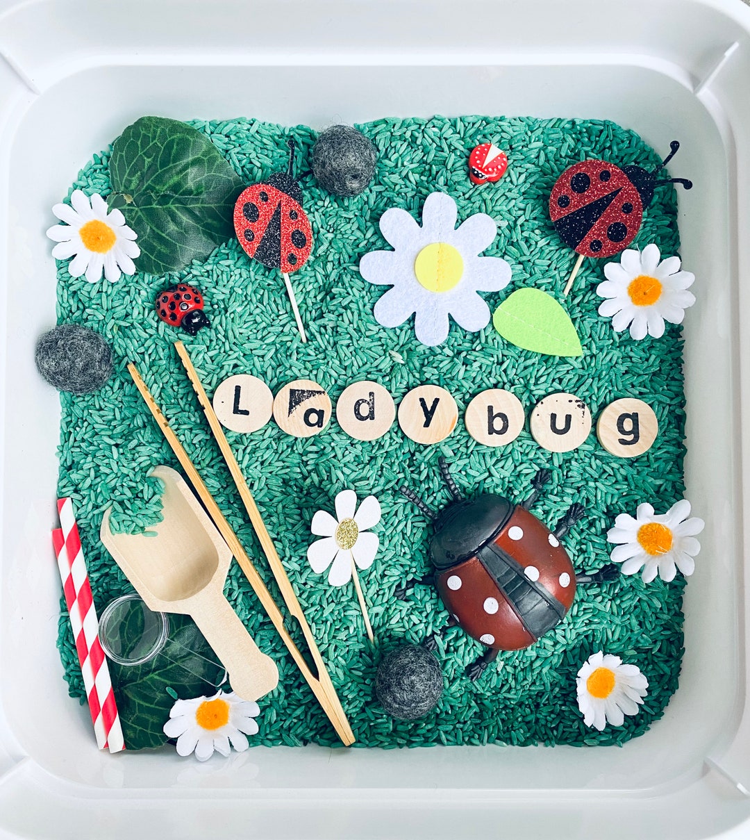 Ladybug Sensory Bin, Ladybugs Sensory Play, Busy Box, Sensory Play ...