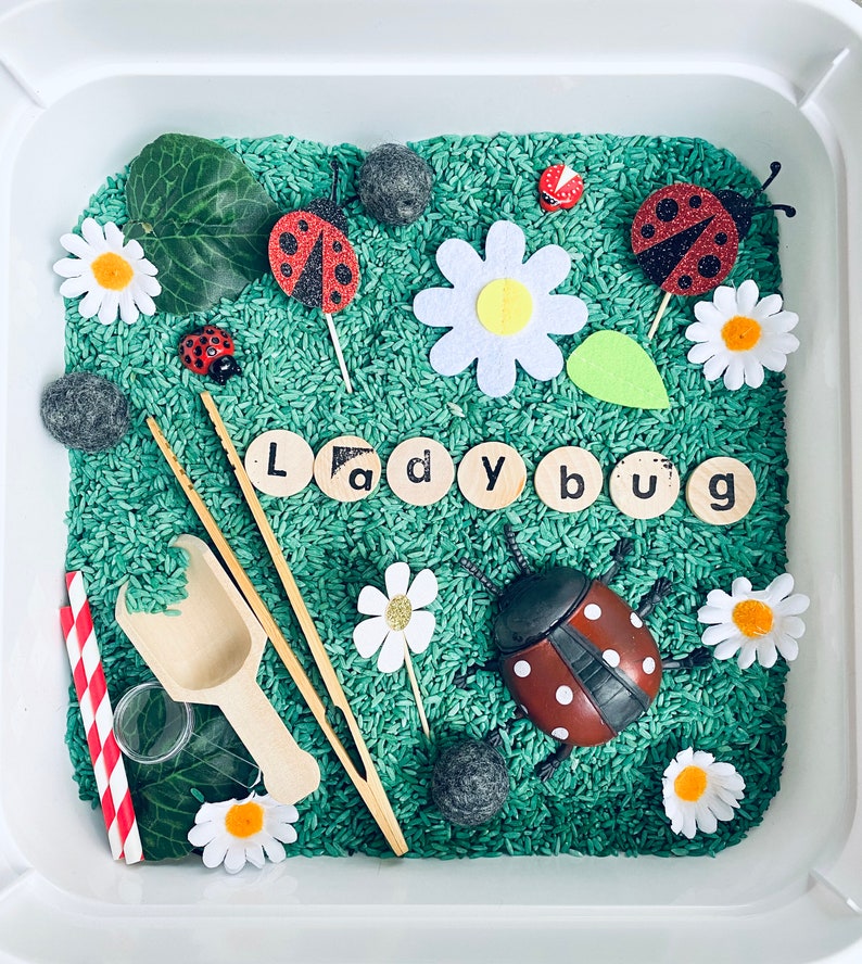 Ladybug Sensory Bin, Ladybugs Sensory Play, Busy Box, Sensory Play ...
