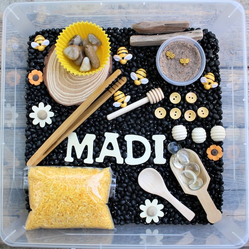 Busy Bee Sensory Kit Kids Busy Box Sensory Bin - Etsy