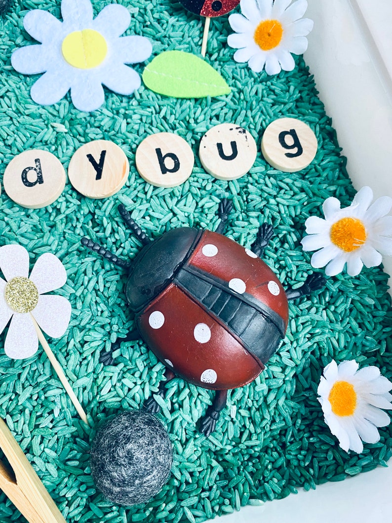 Ladybug Sensory Bin Ladybugs Sensory Play Busy Box Sensory - Etsy
