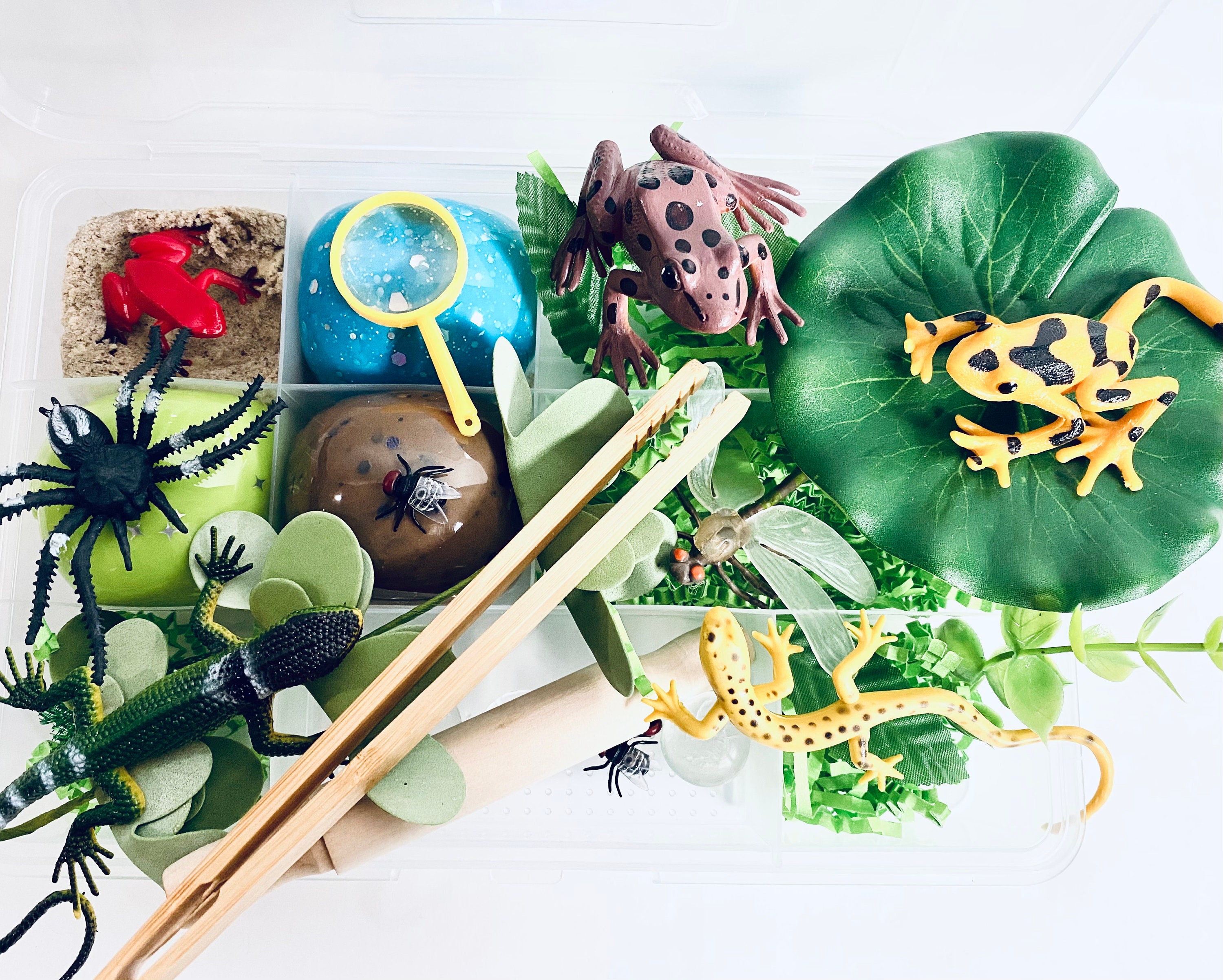 Reptile Play Dough Kit, Play Dough Kit, Lizards and Frogs Sensory Play ...