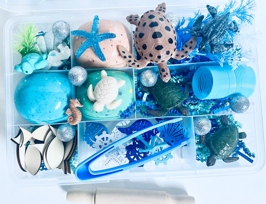 Dreaming of the Sea Sensory Kit, Sensory Play, Ocean Sensory Kit, Kids ...