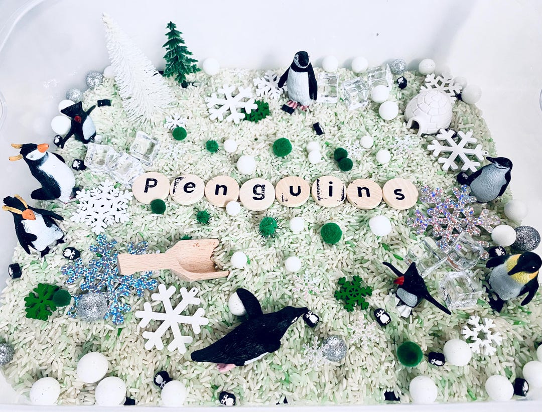 XL Penguin Sensory Kit, BIN INCLUDED, Kids Busy Box, Sensory Bin, Kids ...