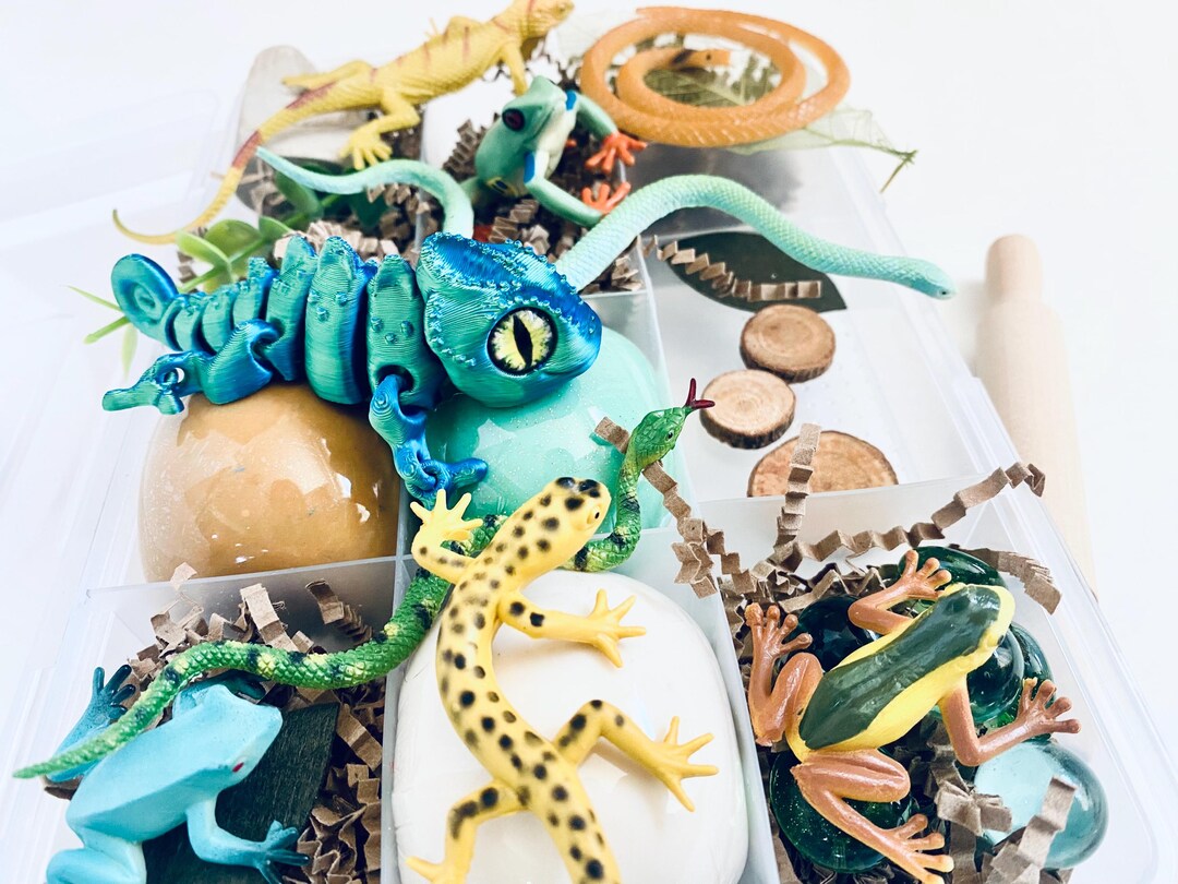 Reptile Play Dough Kit, Play Dough Kit, Lizards and Frogs Sensory Play ...