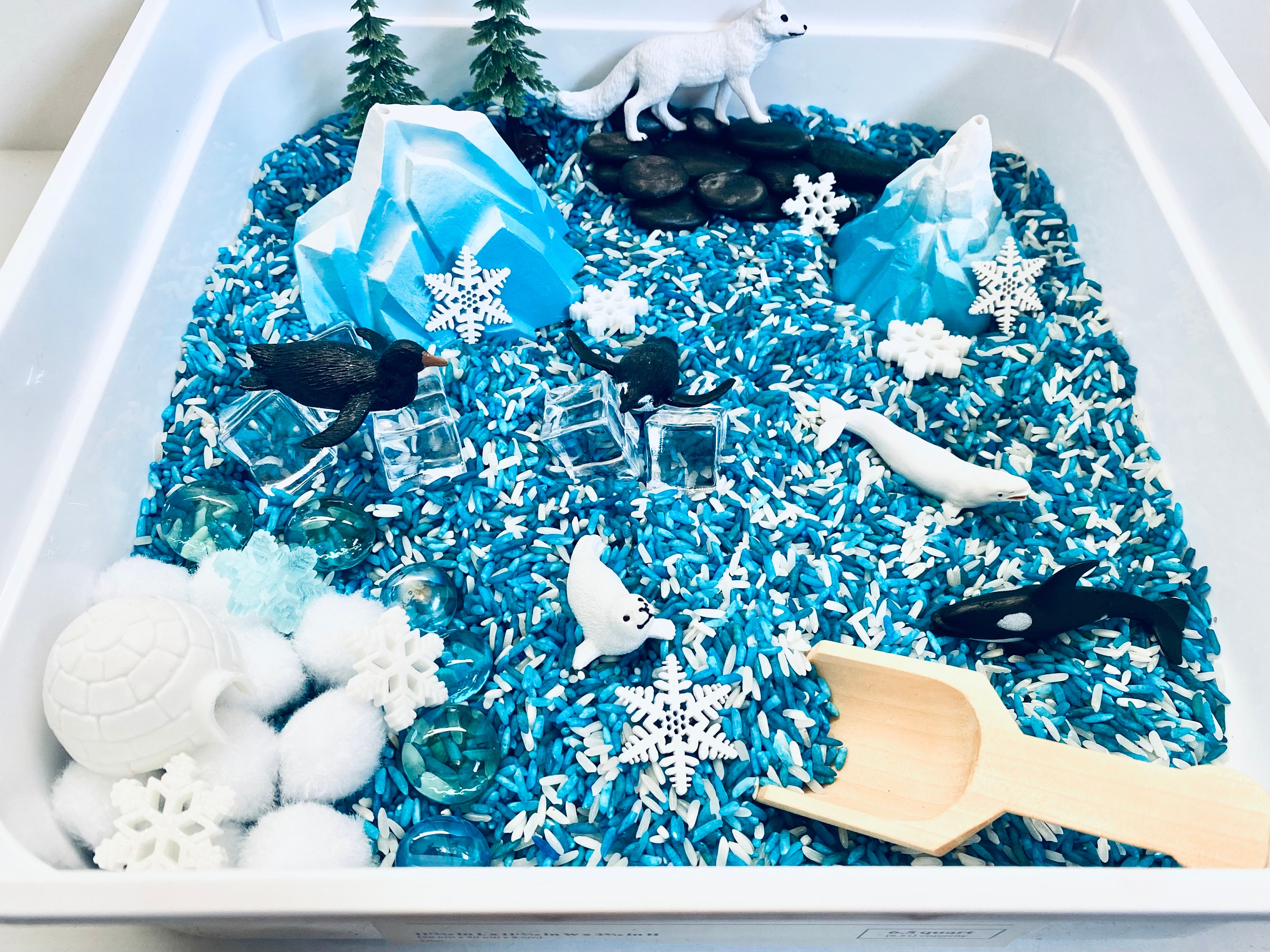 Arctic Sensory Bin
