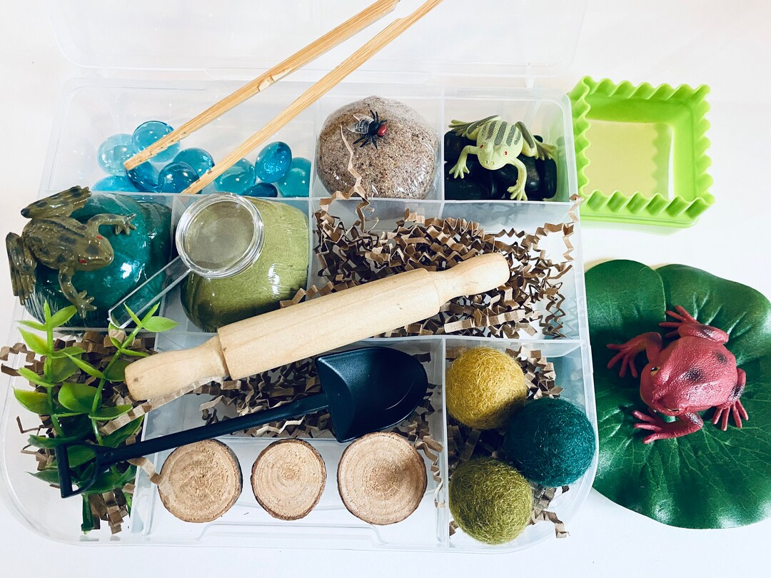 Frog Sensory Kit, Sensory Play, Frog Sensory Kit, Kids Busy Box, Kids ...