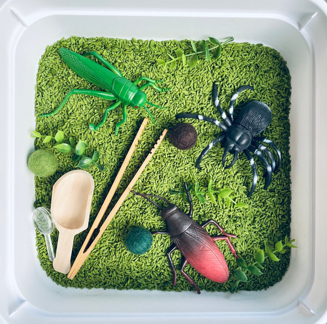 Buggy Bin Sensory Kit, Kids Sensory Play, Busy Box, Kids Gift, Travel ...