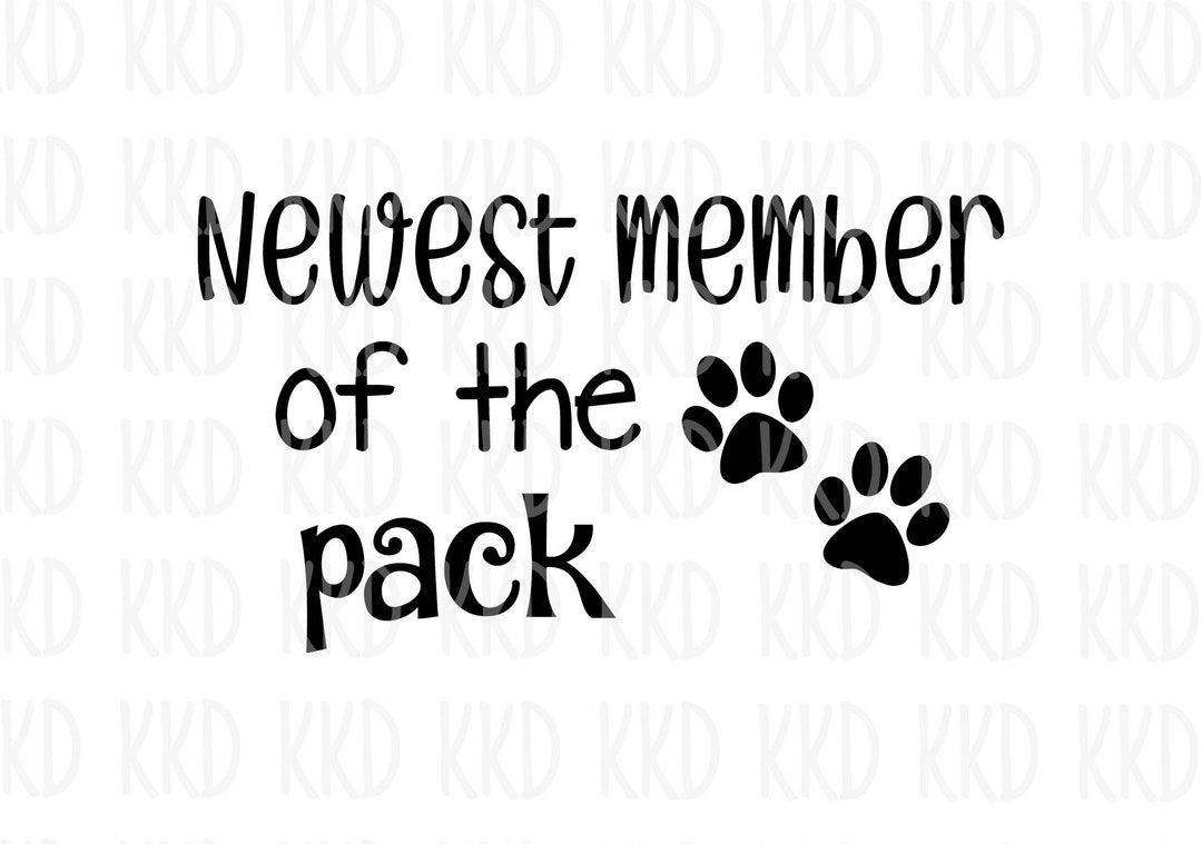 Newest Member of the Pack SVG, Dog Parents SVG, Pregnancy Announcement ...
