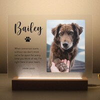 Custom Pet Memorial Photo Stone,personalized Photo Dog Cat Memorial ...