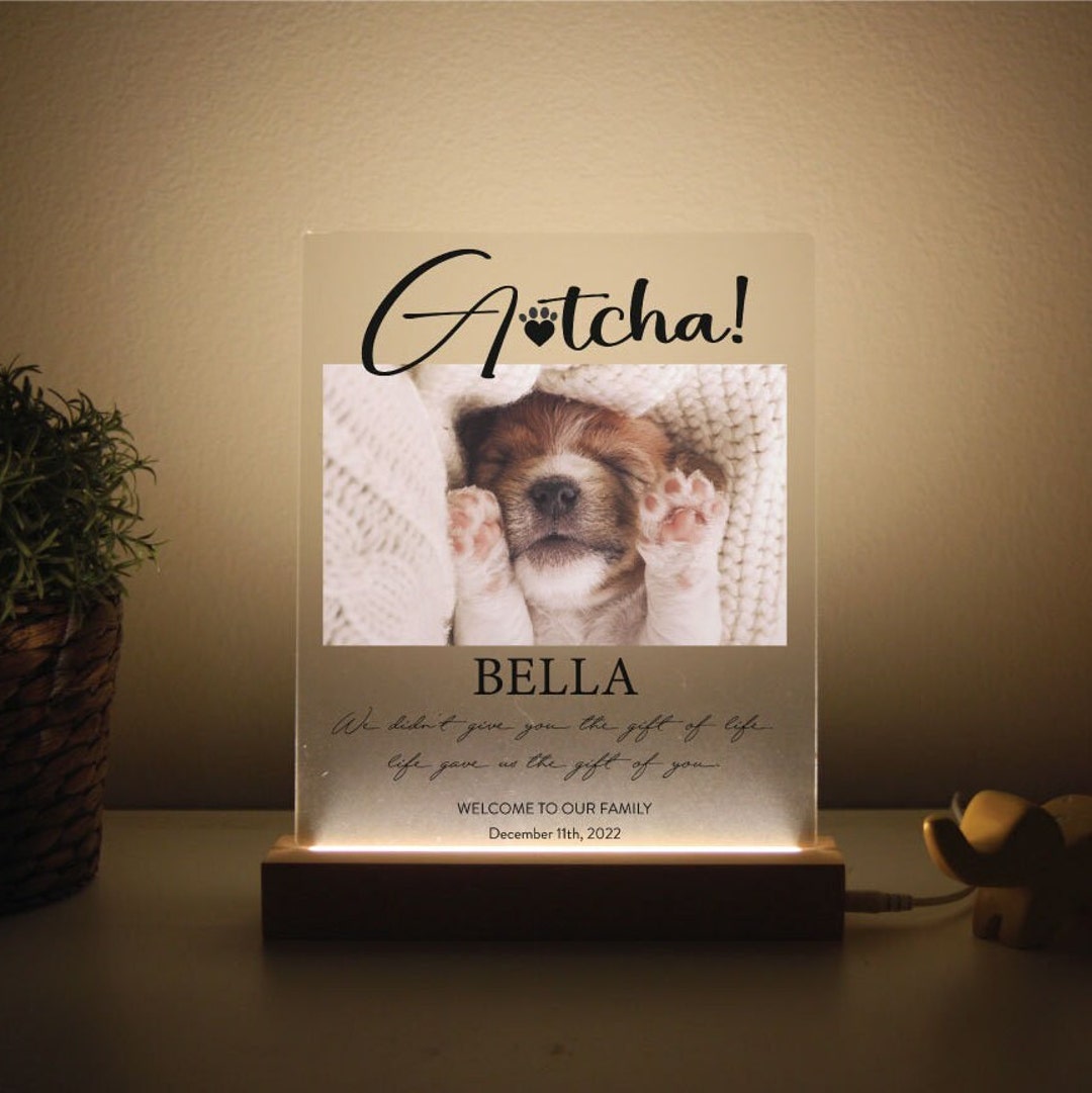 Light up Pet Adoption Plaque Personalized Pet Adoption - Etsy