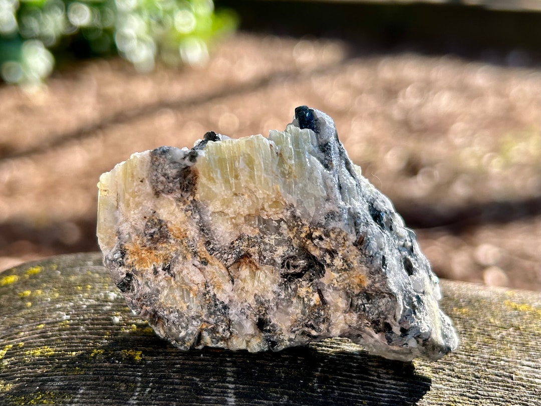 70 G Tiny Treasure Rare Yellow Topaz With Zinnwaldite Rough - Etsy