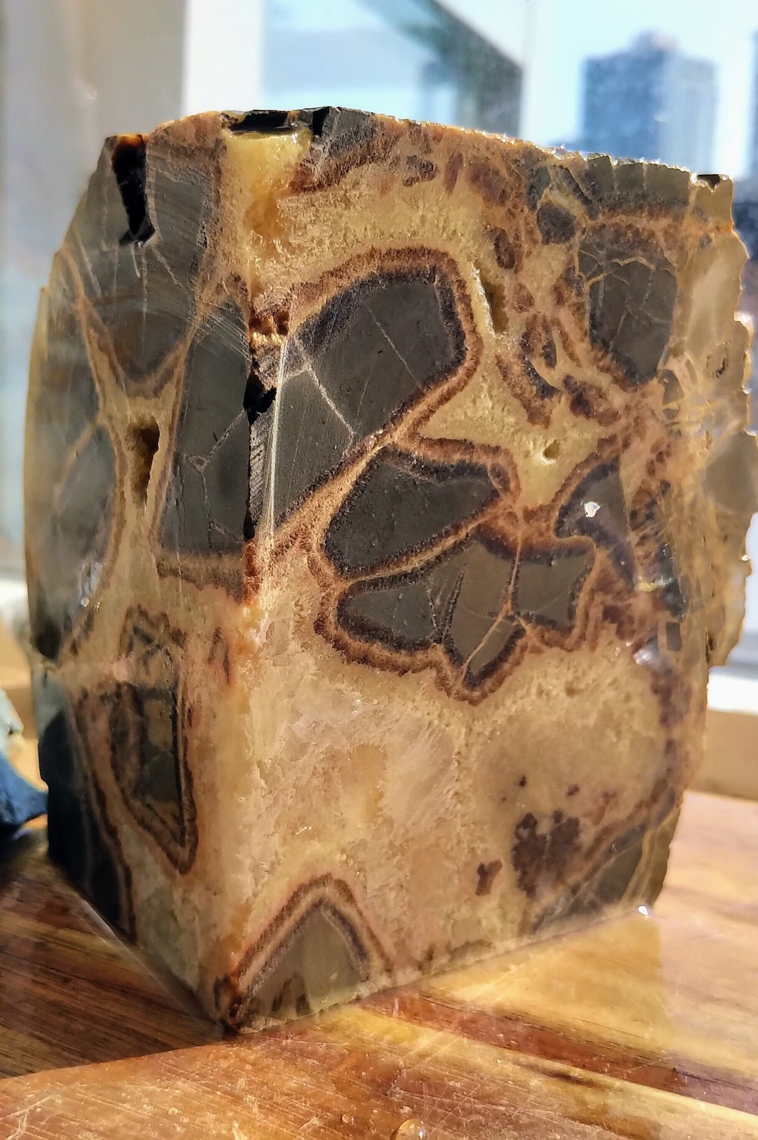 1.1KG Septarian Nodule Specimen- Calcite Crystals - Utah USA - Etsy