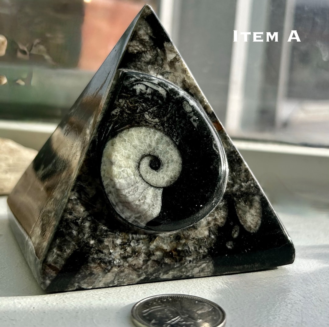 Magical Fossil Pyramid Morocco - Etsy