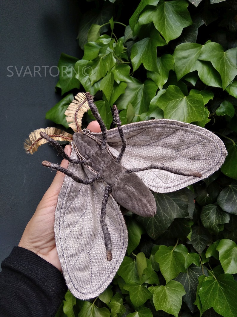 Textile Moth Soft Sculpture Textile Art Ooak Midnight - Etsy