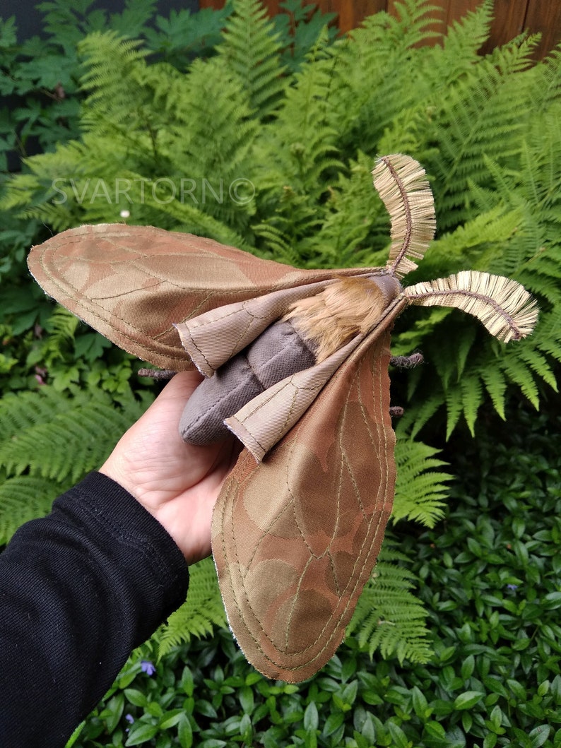 Textile Moth Soft Sculpture Textile Art Ooak Midnight - Etsy