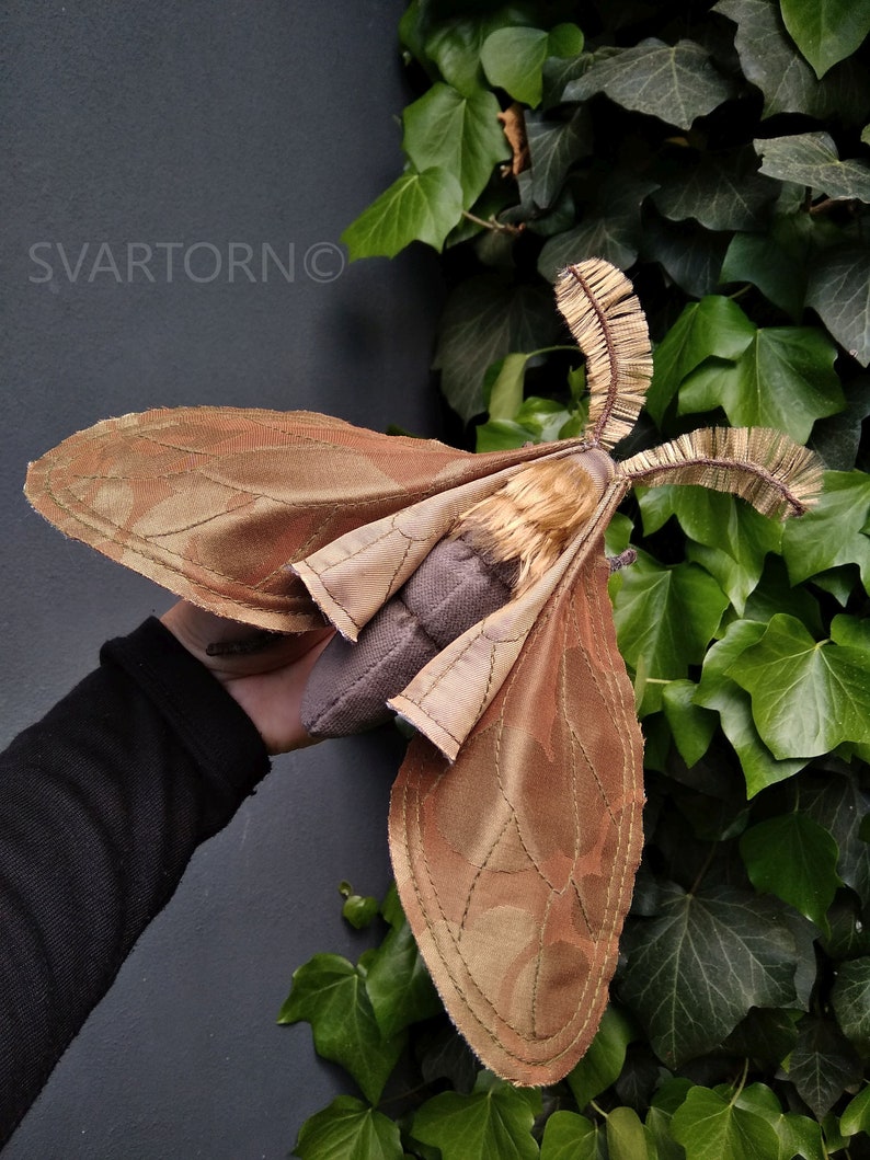 Textile Moth Soft Sculpture Textile Art Ooak Midnight - Etsy