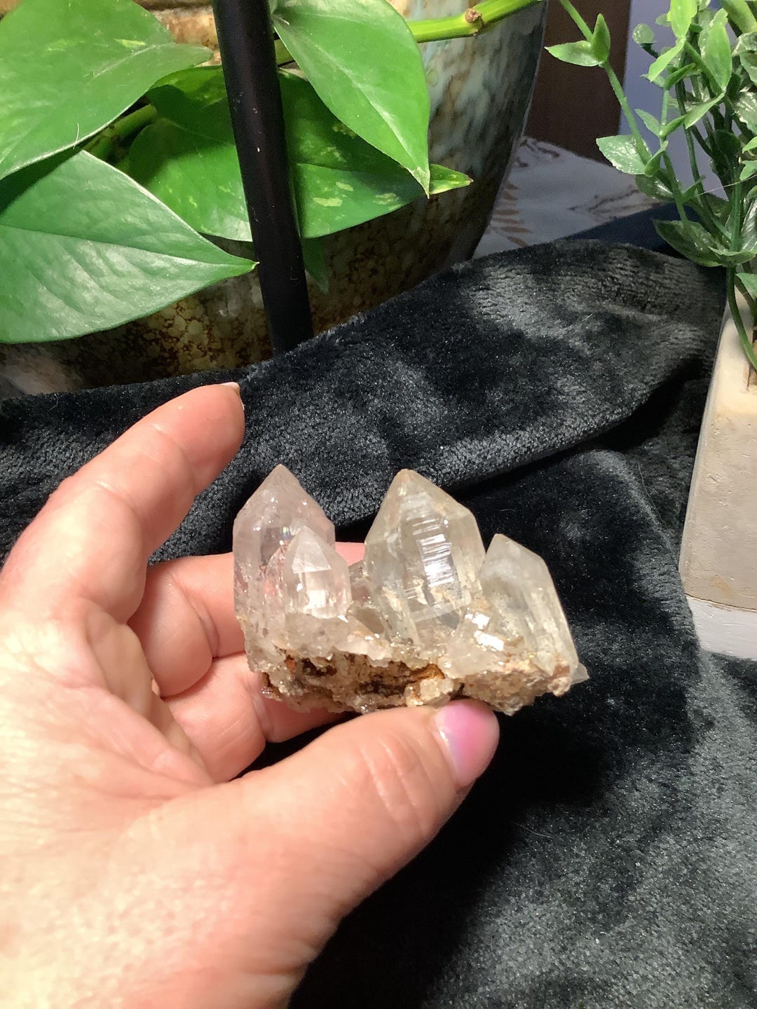 Himalayan Starseed Quartz Crystal - Etsy