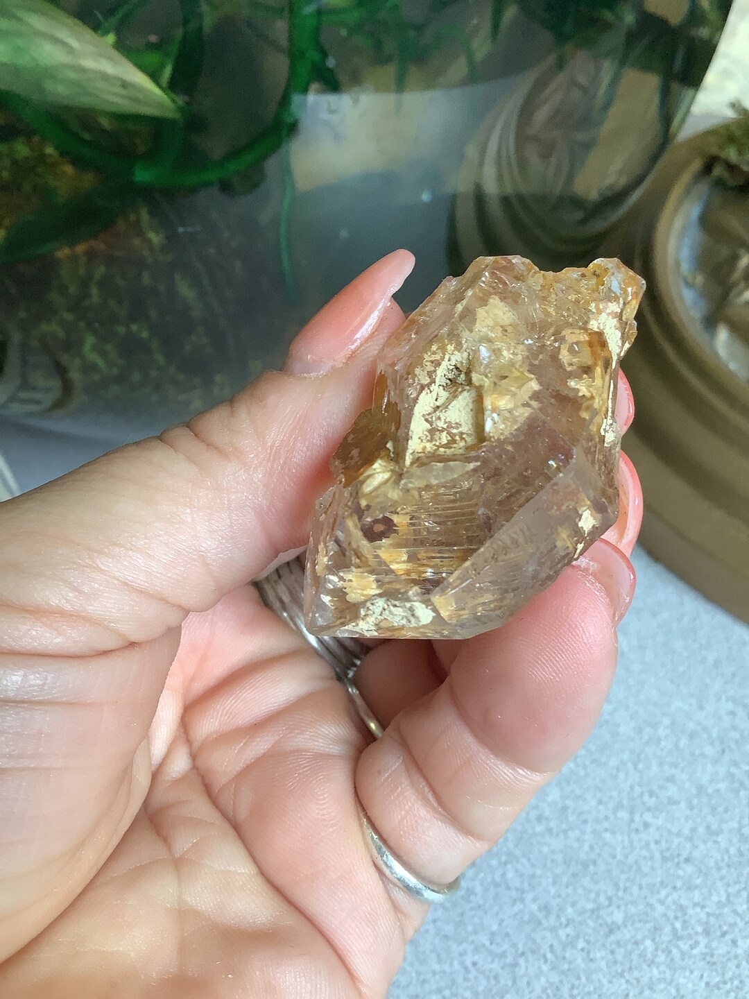Natural Golden Skeletal Elestial Quartz From Brazil - Etsy