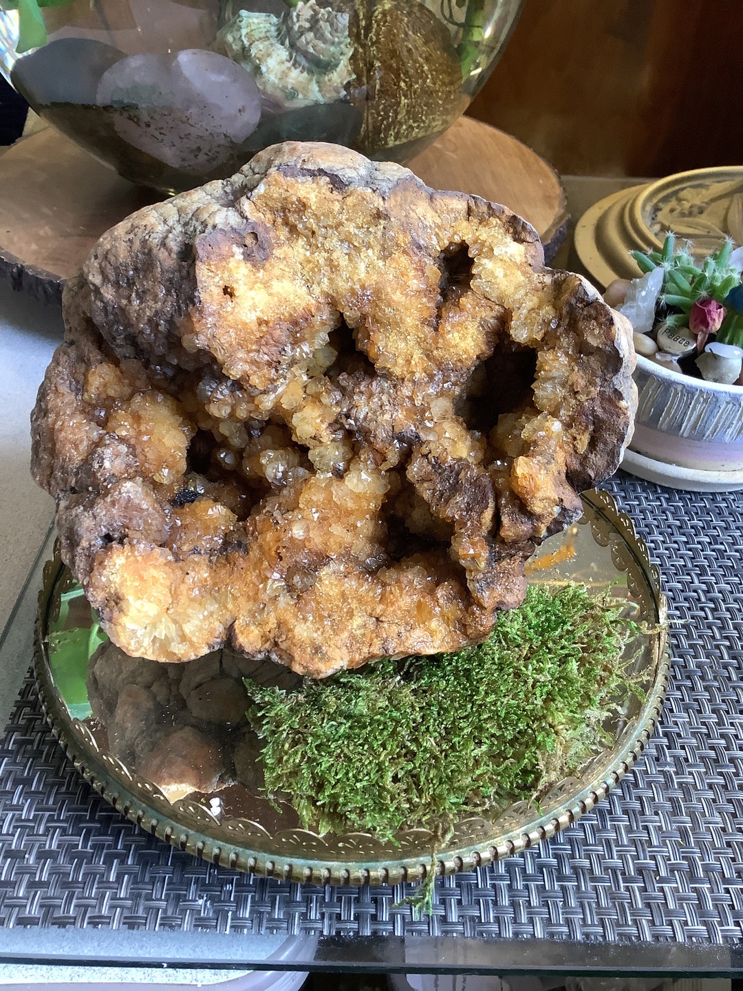 Golden Healer Geode From Indiana - Etsy