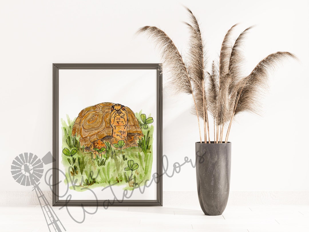 Box Turtle Watercolor Painting Art Print, 8x10" Oklahoma Wildlife ...