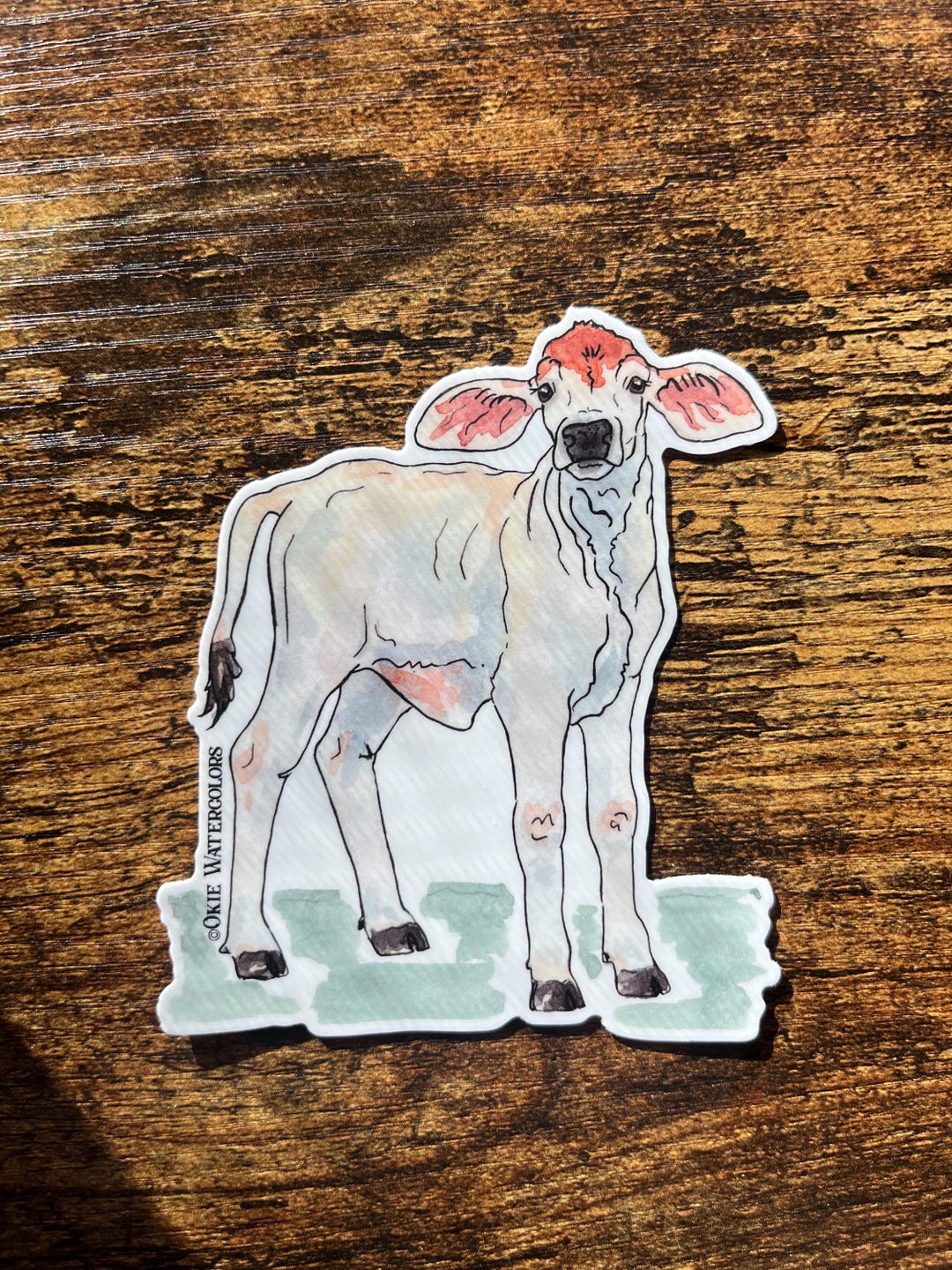 Brahman Calf Watercolor 4" Weatherproof Vinyl Sticker, Made for Indoor ...