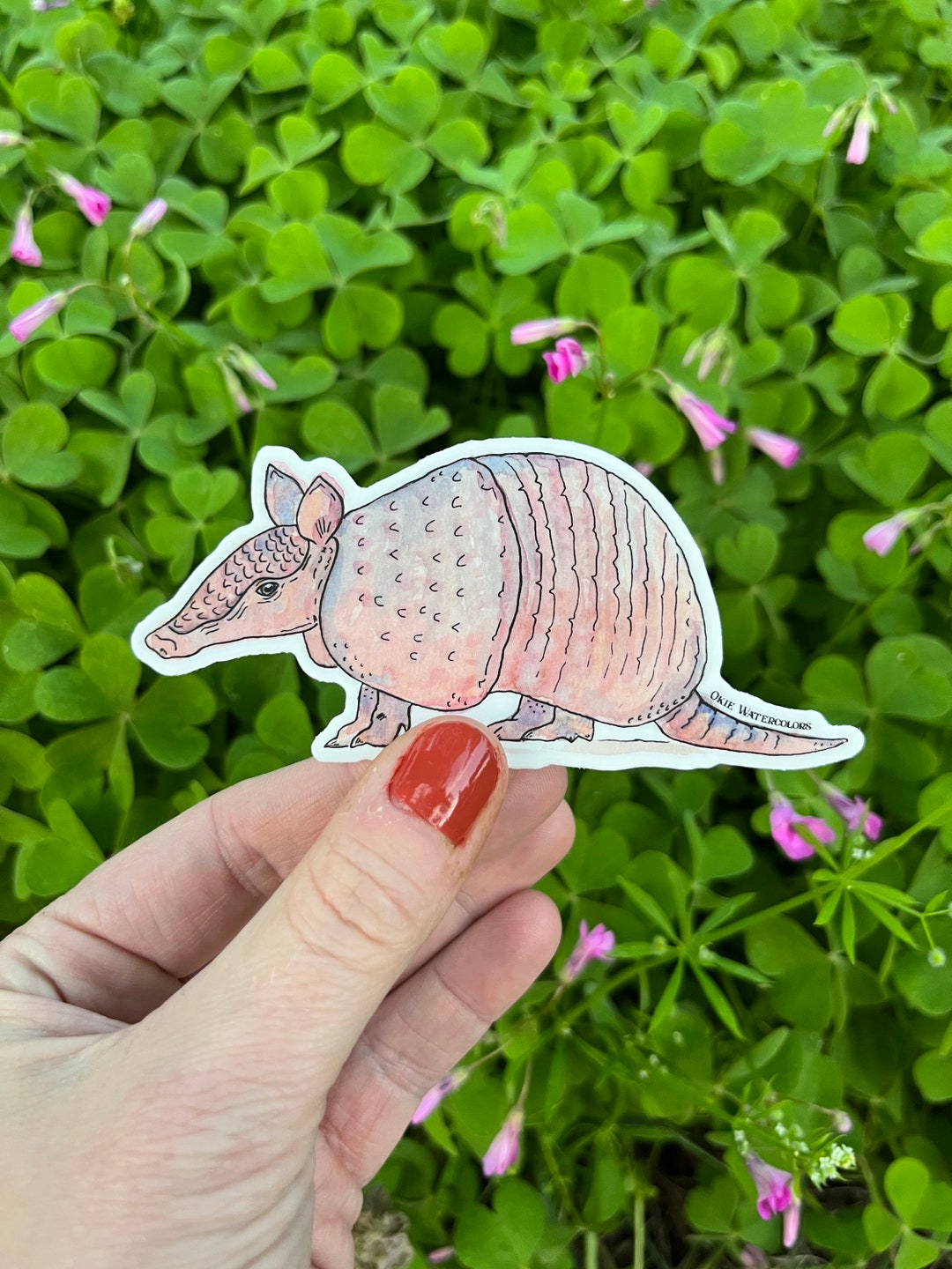 Armadillo Watercolor 4" Weatherproof Vinyl Sticker, Made for Indoor ...