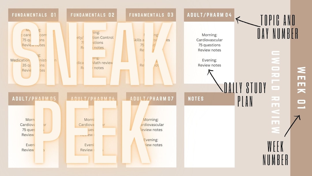 Uworld 6 Week Study Plan - Etsy