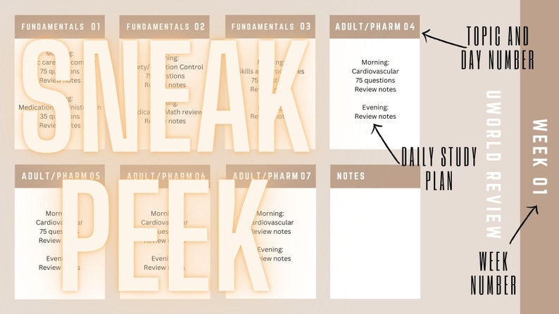 Uworld 6 Week Study Plan - Etsy