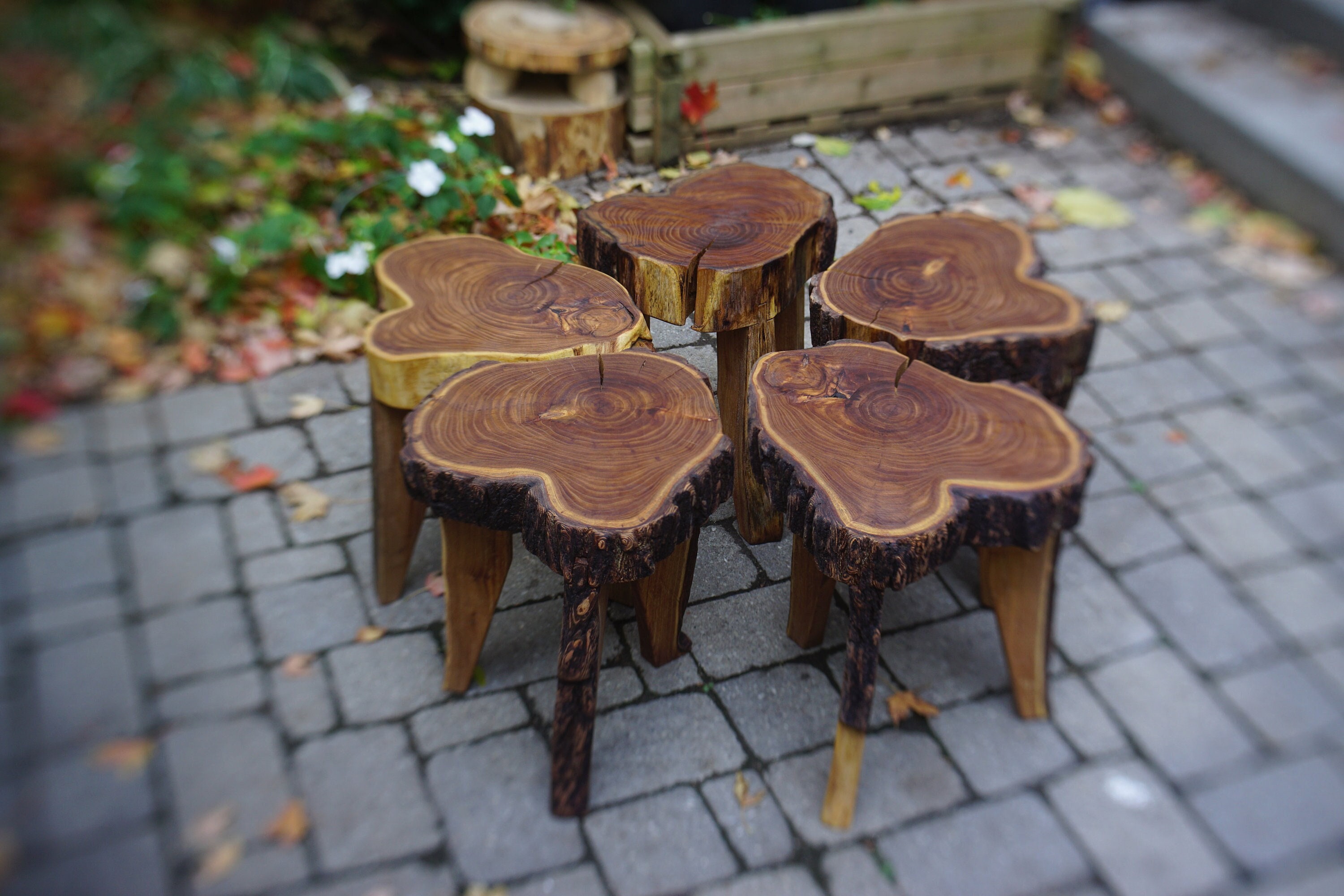 Live Edge Wood Stools, Made From Urban-salvaged Elm - Etsy
