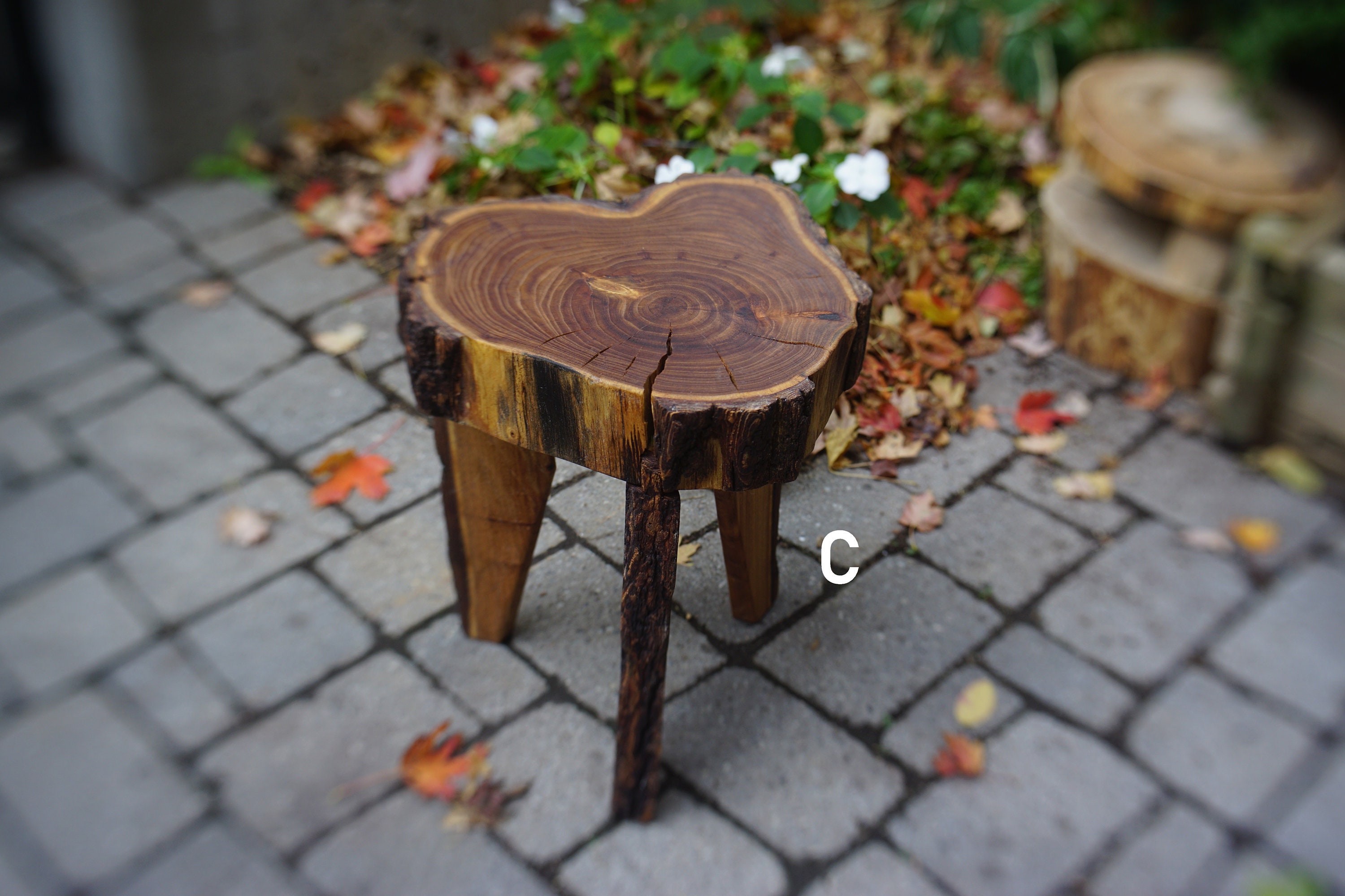Live Edge Wood Stools, Made From Urban-salvaged Elm - Etsy