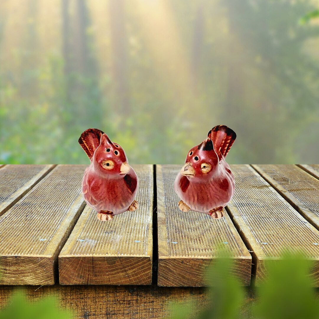 Red Cardinal Bird Figurine Salt & Pepper Shakers Pier 1 Imports - Etsy Red Cardinal Bird Figurine Salt & Pepper Shakers Pier 1 Imports - Etsy