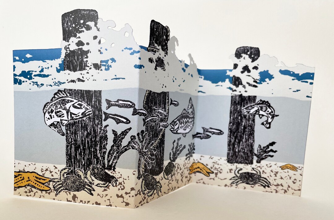 Under the Sea Concertina Cut-out Card - Greeting Card, Seaside, Ocean ...