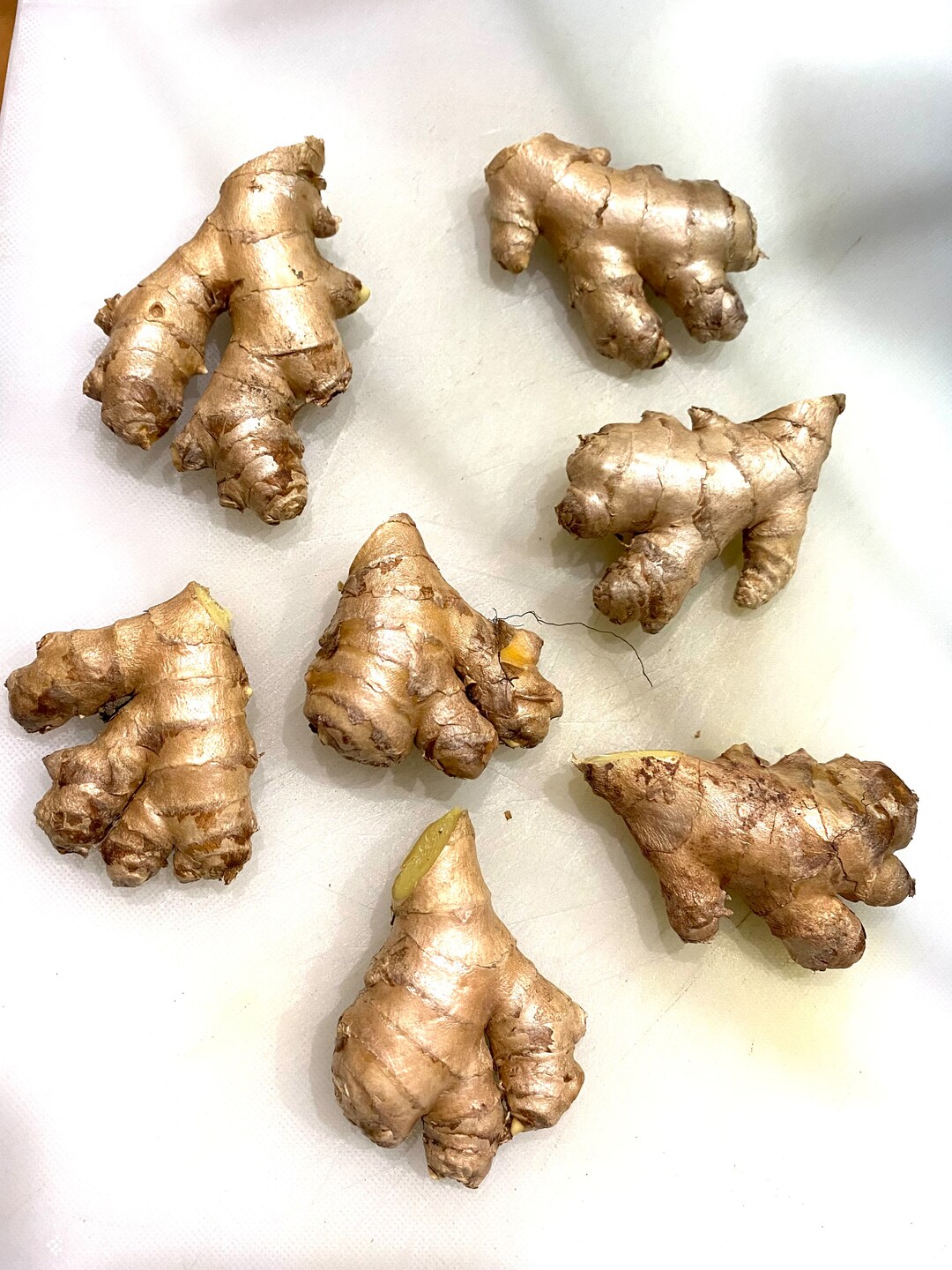 7 Pieces Edible Gingers for Planting - Etsy