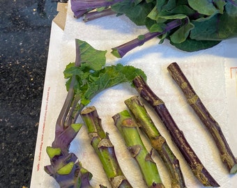 3 Merritt Tree Collard Cuttings - Etsy