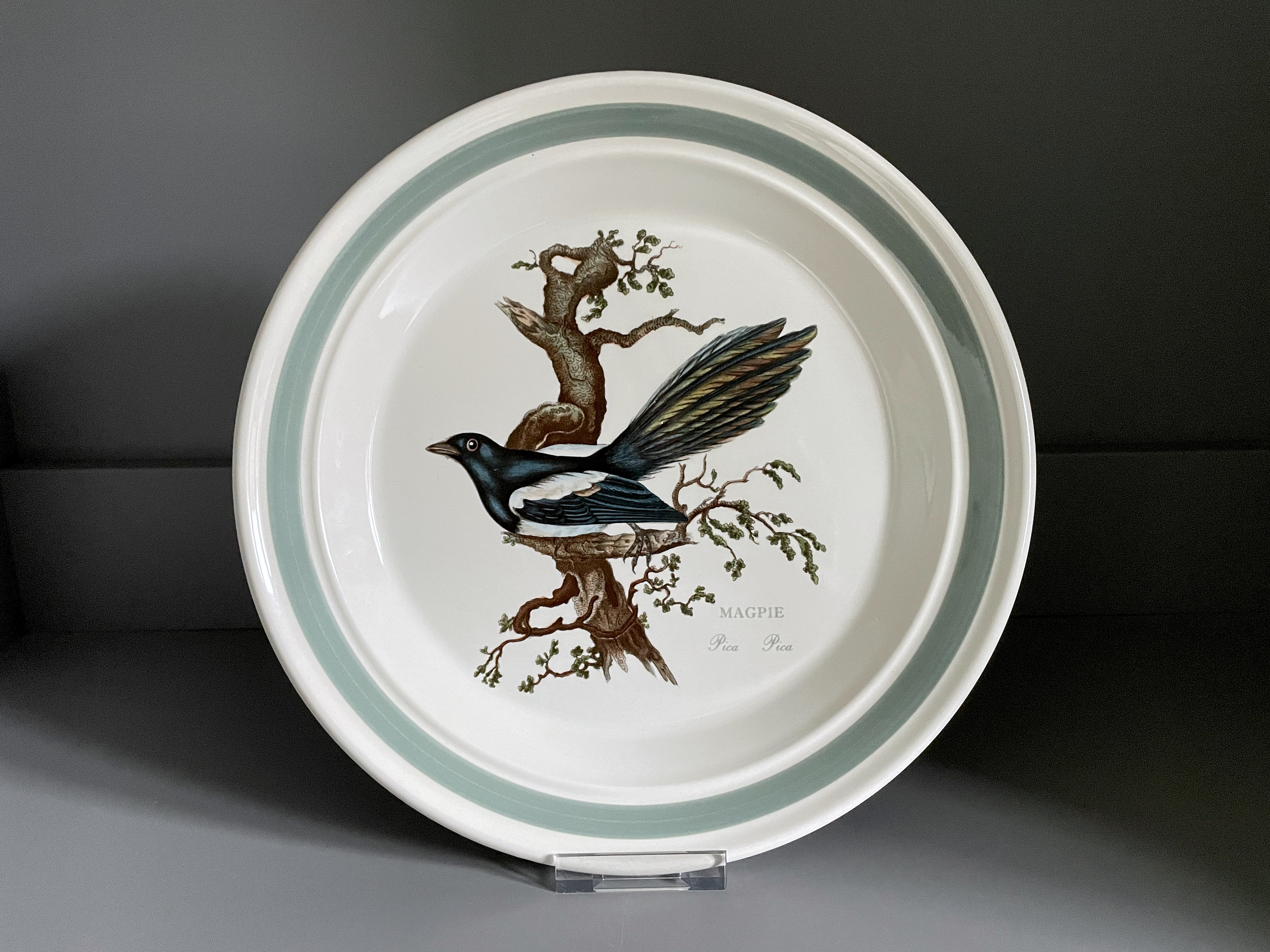Portmeirion Magpie Birds of Britain Dinner Plate 10 3/8, Green Band ...