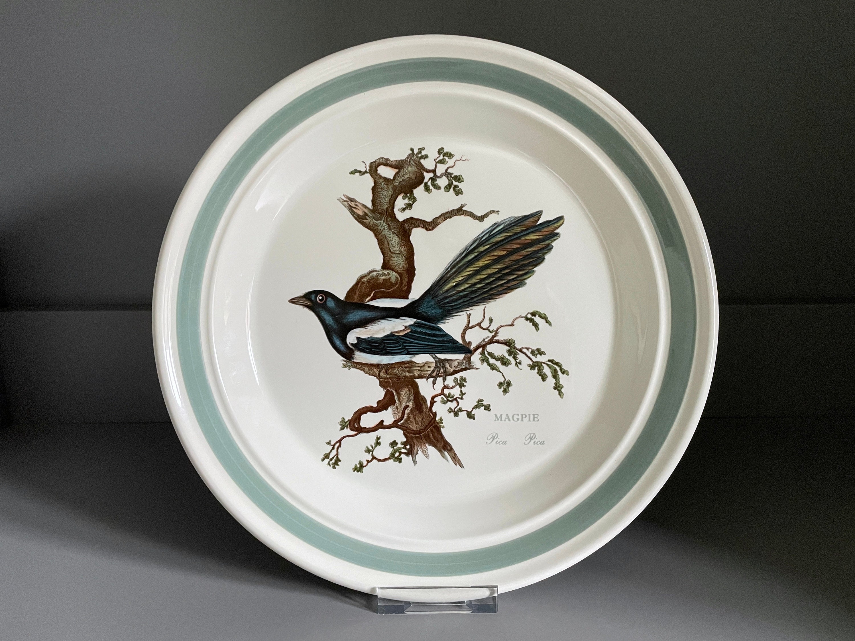 Portmeirion Magpie Birds of Britain Dinner Plate 10 3/8, Green Band ...
