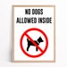 No Dogs Sign No Dogs Allowed Inside Sign Printable No Dogs - Etsy