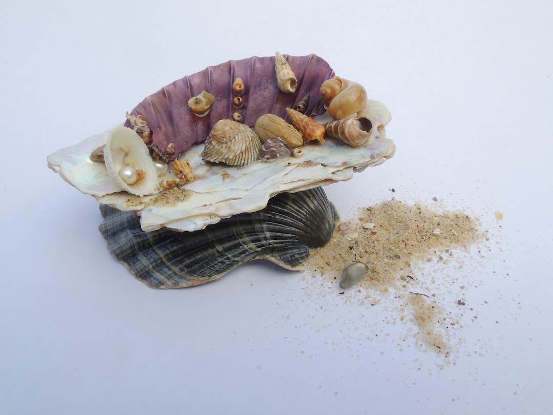 Seashell Love Token Ornament: Tasmanian Beach Finds, Good Luck Amulet ...