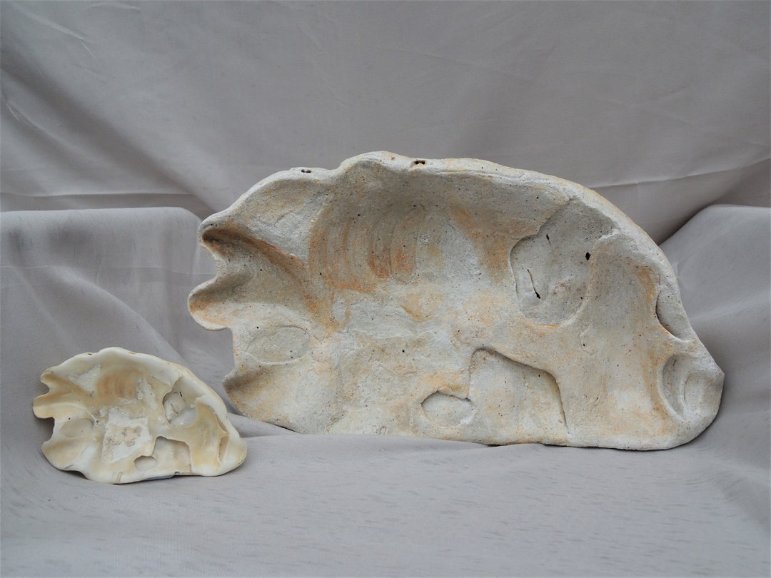 Oyster Shell Ceramic Art Sculpture: Nature Inspired Sculpture - Etsy