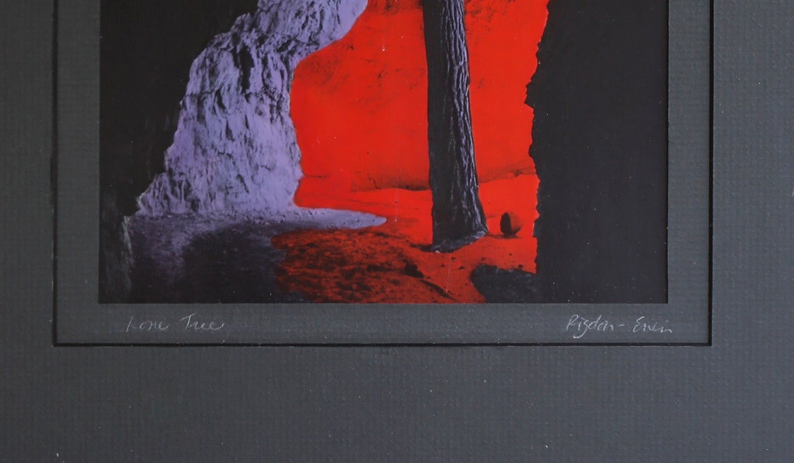 Hand - Tinted Black and White Photography by Susan Rigdon and Bill ...