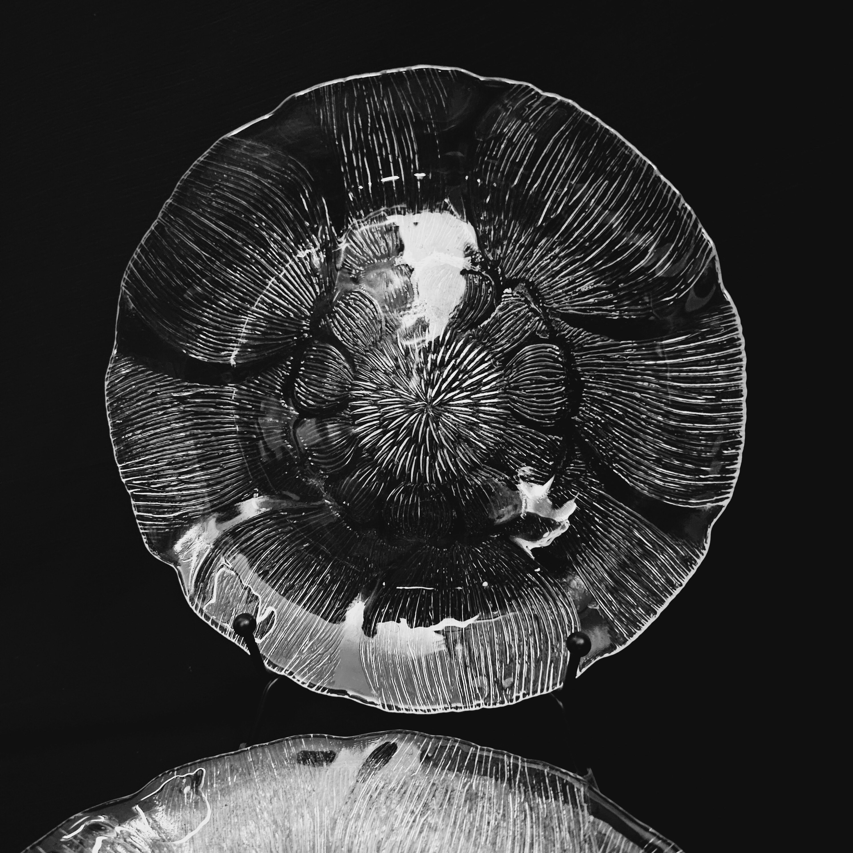 Vintage Arcoroc Le Fleur Relief Pressed Clear Glass Dinnerware Set ...