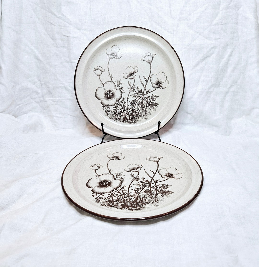 Poppy Flower Stoneware Dinner Plates Set of 2, Noritake Desert Flowers ...