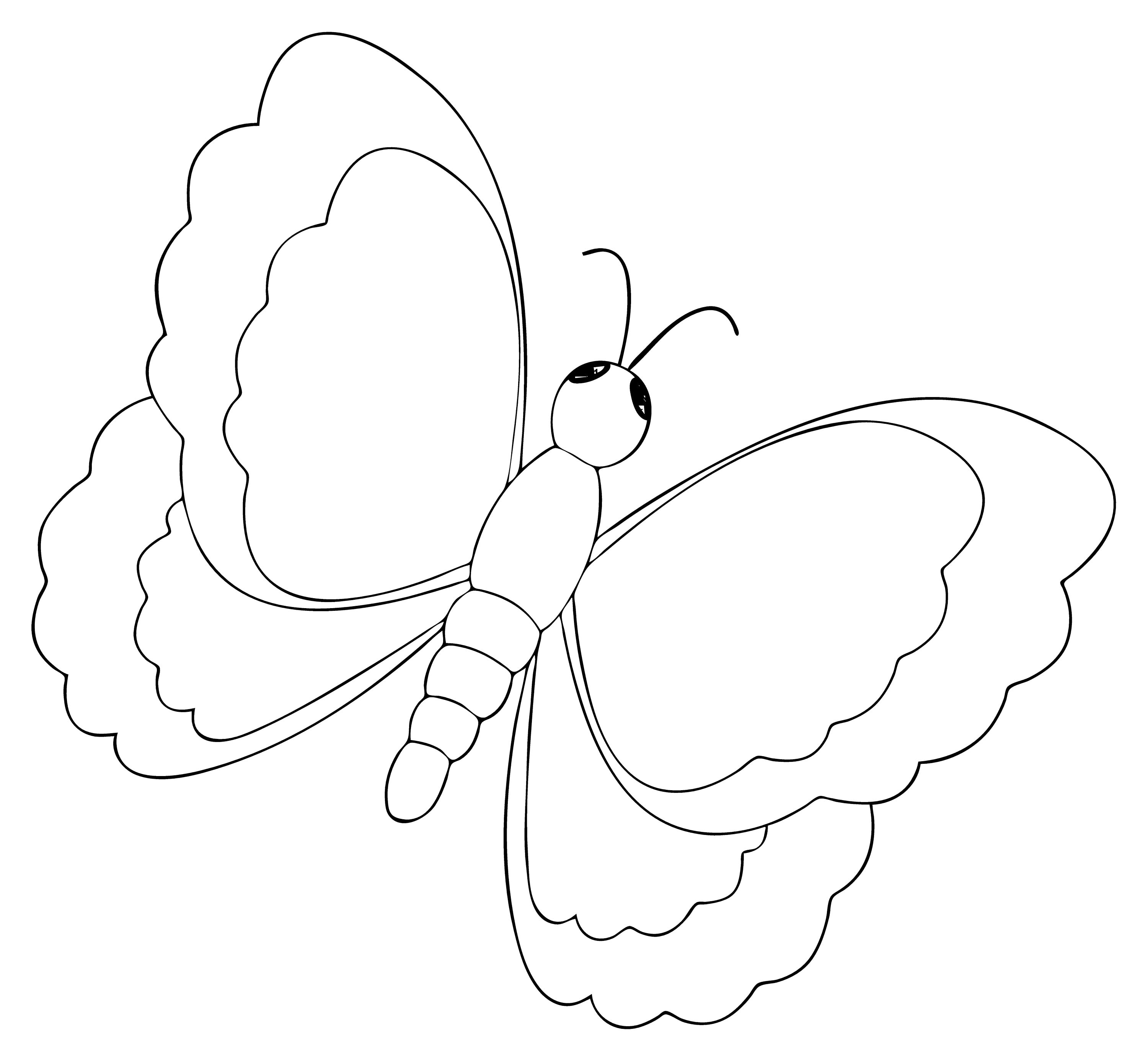 Digital Butterfly Coloring Image - Etsy