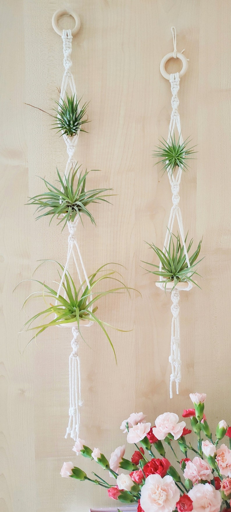 Macrame Air Plant Holder Air Plant Hanger Air Plant Display - Etsy UK